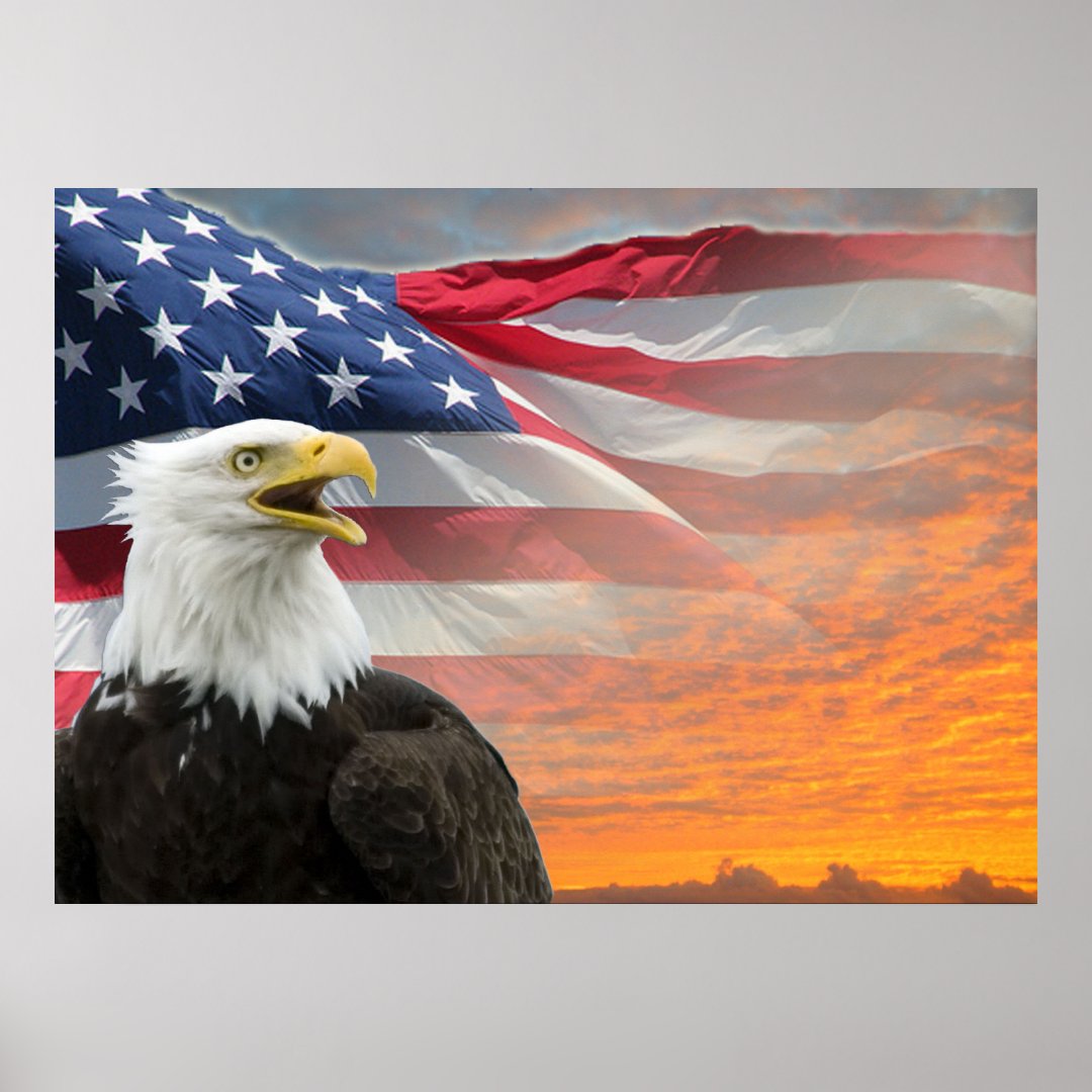 US Flag Eagle Poster | Zazzle
