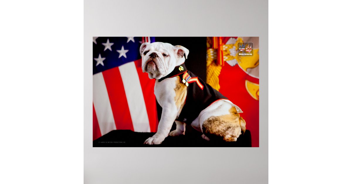 US MILITARY SERVICE DOG POSTER | Zazzle