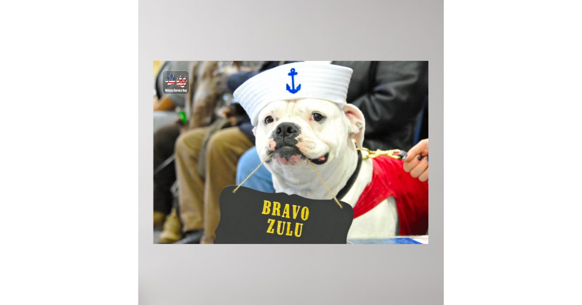 US MILITARY SERVICE DOG POSTER | Zazzle