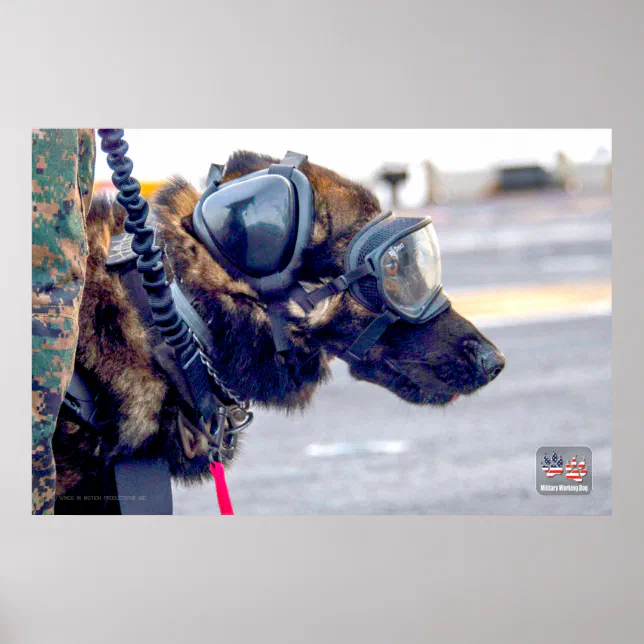 US MILITARY WORKING DOG POSTER | Zazzle