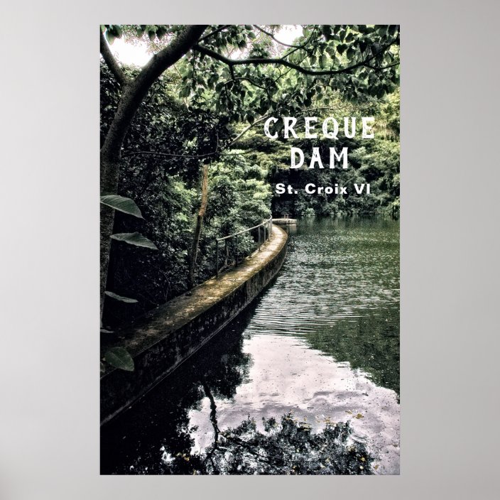 US Virgin Islands Rain Forest Creque Dam USVI Poster | Zazzle.com