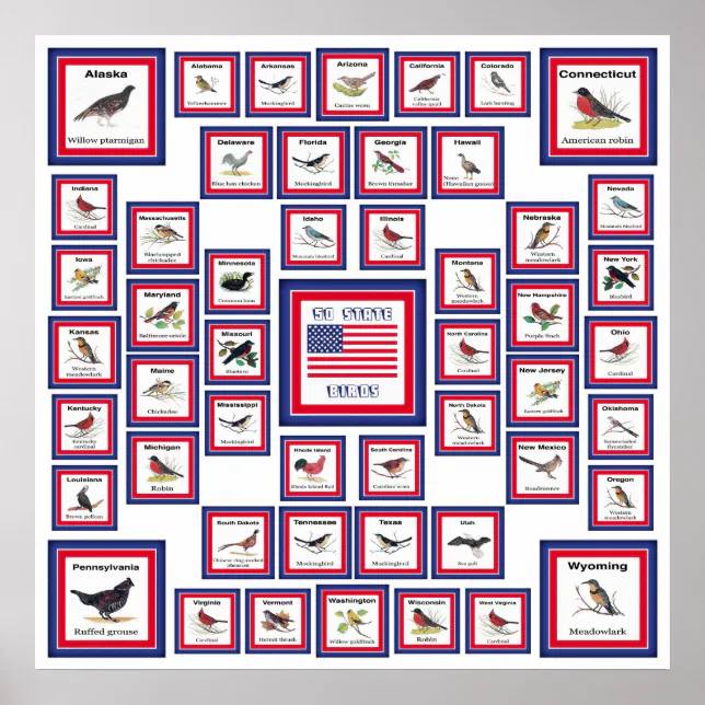 USA 50 STATE BIRDS WHITE/553 POSTER | Zazzle