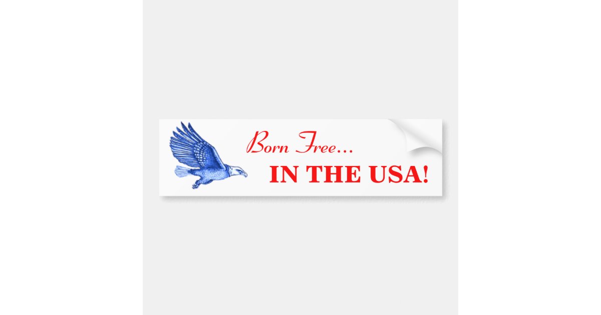 USA BUMPER STICKER | Zazzle