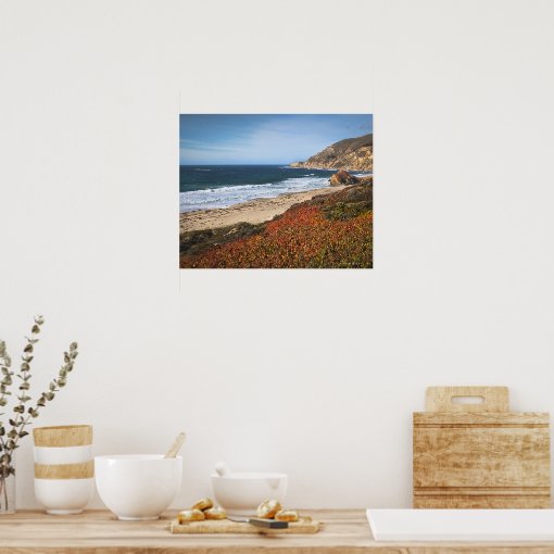 USA, California, Big Sur, Red plants by beach Poster | Zazzle
