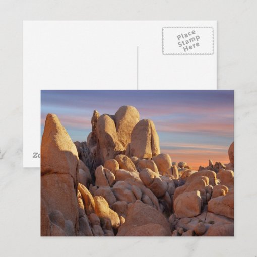 USA, California, Joshua Tree National Park Postcard | Zazzle