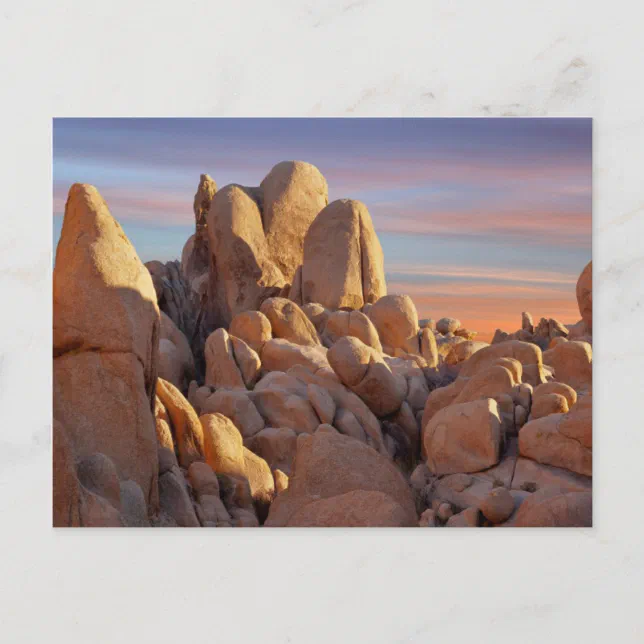 USA, California, Joshua Tree National Park Postcard | Zazzle