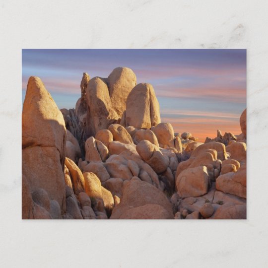 USA, California, Joshua Tree National Park Postcard | Zazzle.com