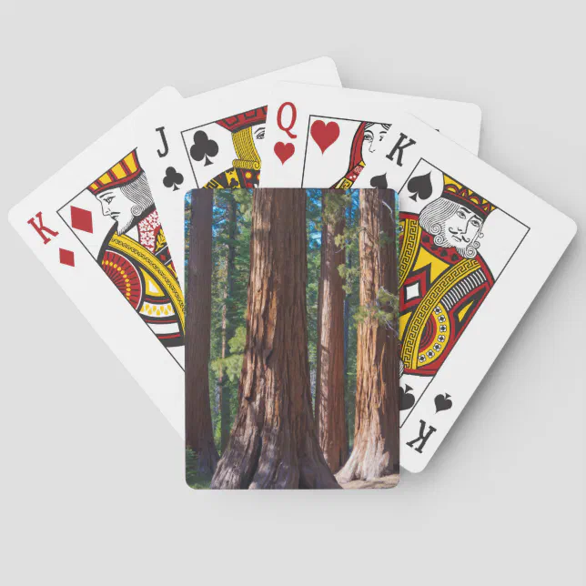 USA, California. Redwood Tree Trunks, Mariposa Poker Cards | Zazzle