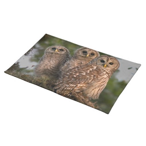 USA, Florida, Viera Wetlands. Three barred Cloth Placemat | Zazzle