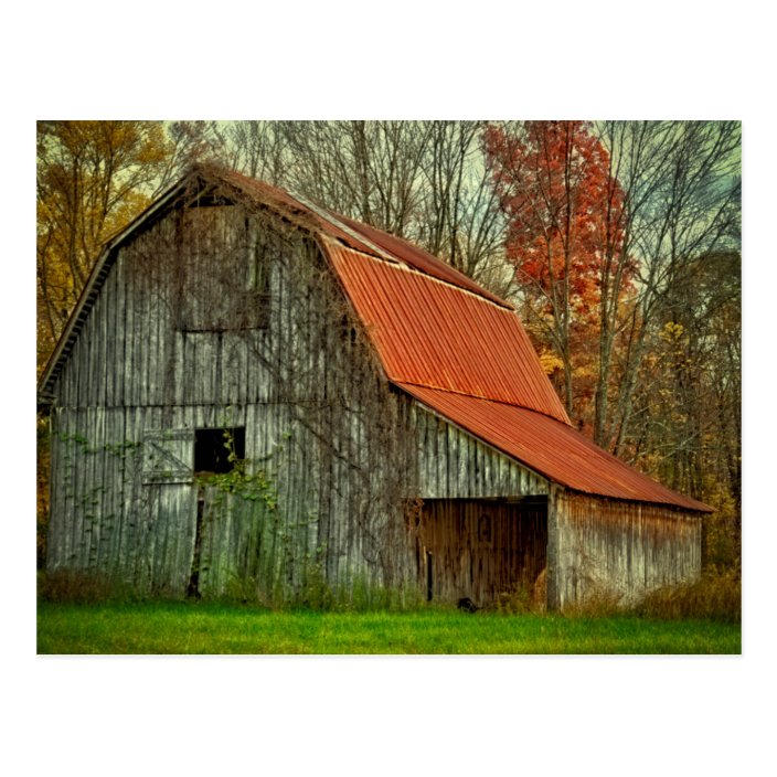 USA, Indiana. rural landscape, vine-covered barn Postcard | Zazzle.com