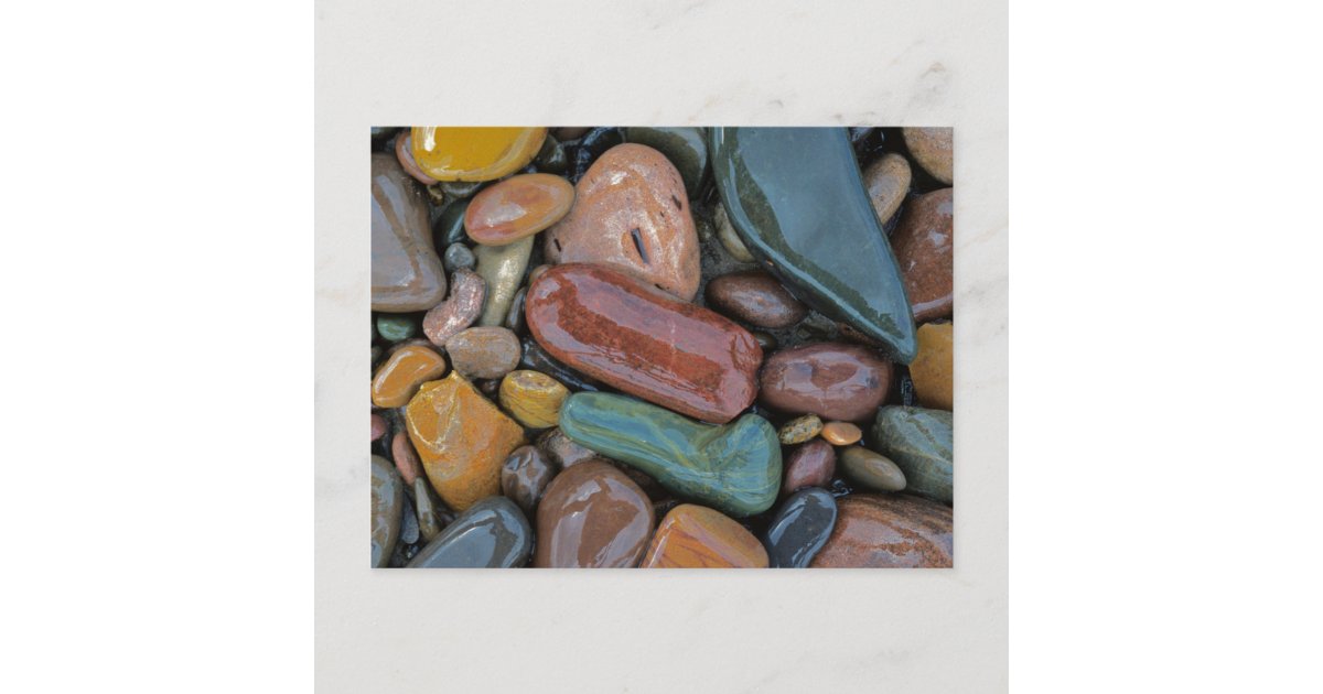 USA, Montana, Clark Fork River, Stones Postcard | Zazzle