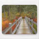 USA, Oregon, Willamette National Forest. Mouse Pad | Zazzle