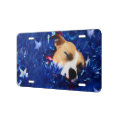USA Patriotic Dog American Pit Bull Terrier License Plate | Zazzle