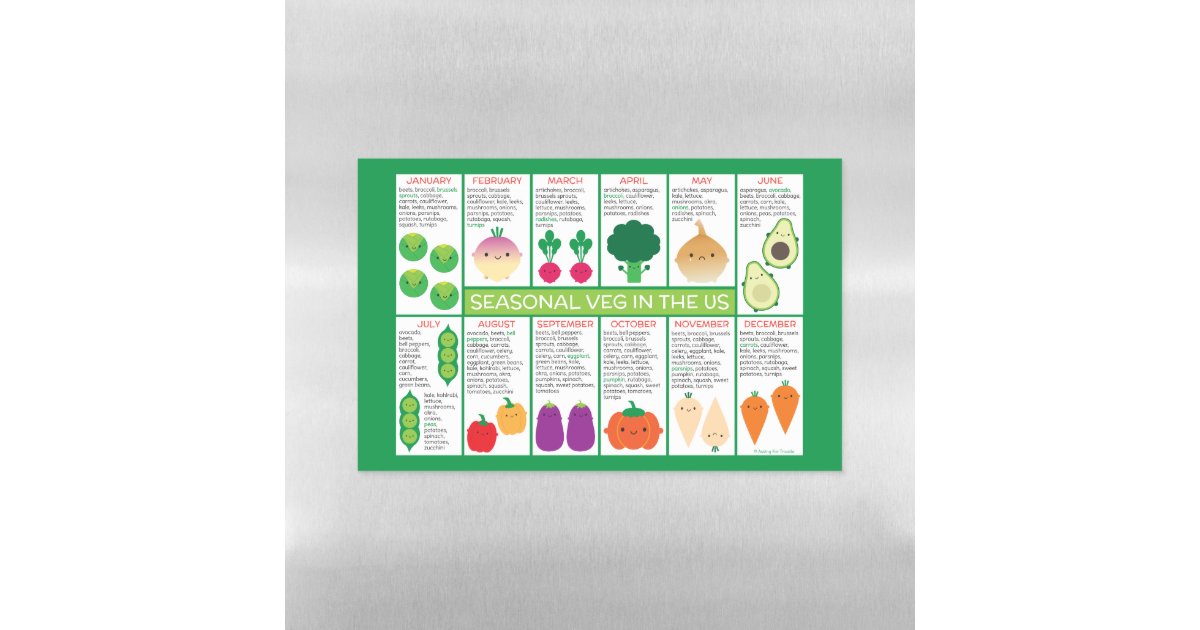 USA Seasonal Vegetables Chart Magnetic Dry Erase Sheet | Zazzle