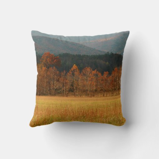 USA, Tennessee. Cades Cove In Smoky Mountain Throw Pillow | Zazzle