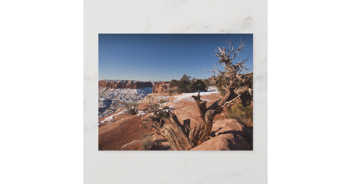 USA, Utah, Moab. Canyonlands National Park, Postcard | Zazzle