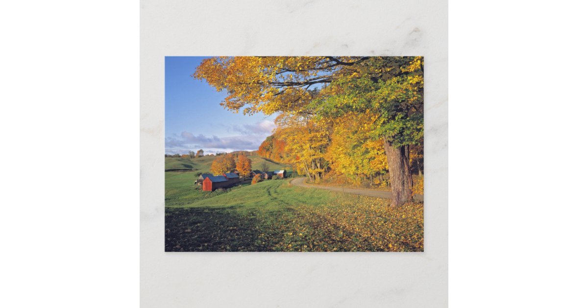 USA, Vermont, Jenne Farm. Fall comes to Jenne Postcard | Zazzle