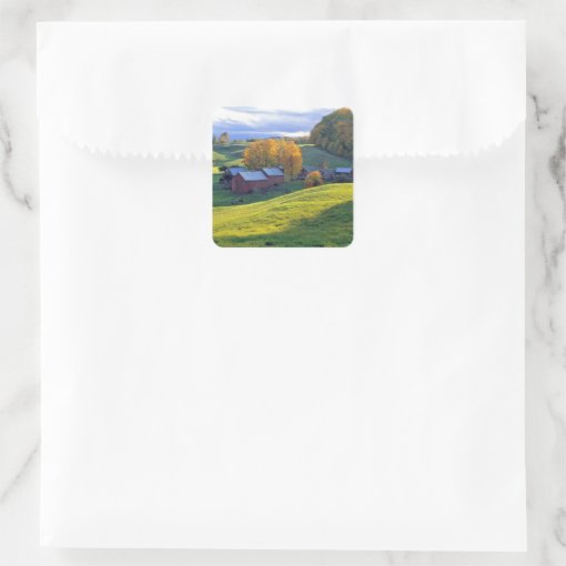 USA, Vermont, Jenne Farm. Rolling green hills Square Sticker | Zazzle