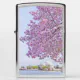 USA, Washington DC, Cherry tree in bloom Zippo Lighter | Zazzle