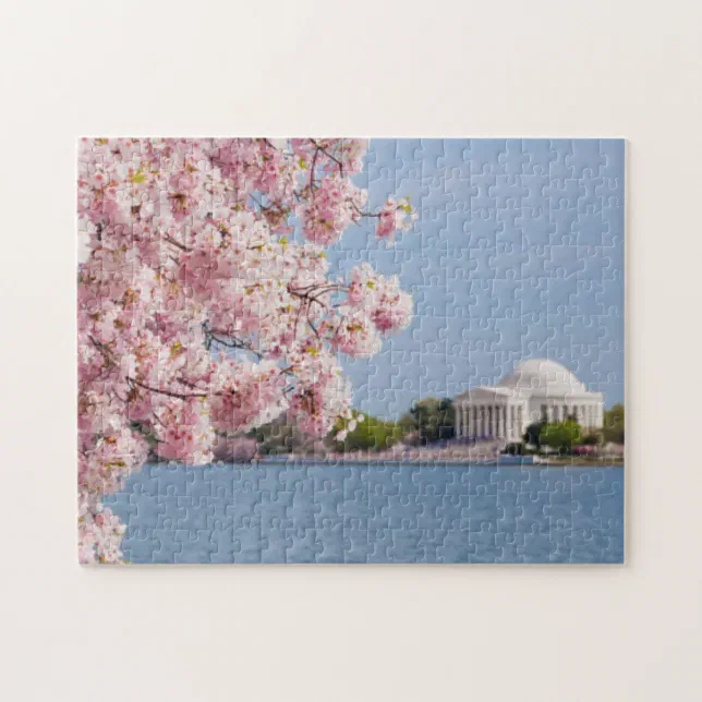 USA, Washington DC, Cherry tree Jigsaw Puzzle | Zazzle