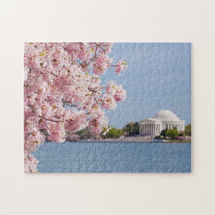 USA, Washington DC, Cherry tree Jigsaw Puzzle | Zazzle