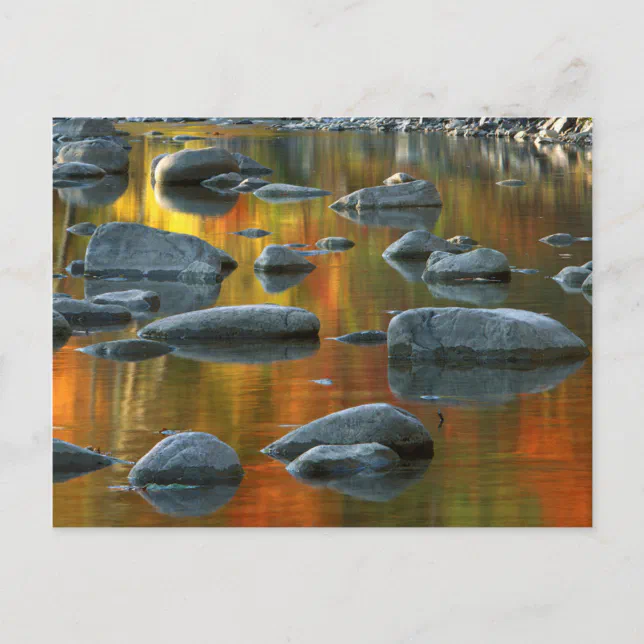 USA, West Virginia, Spruce Knob-Seneca Rocks 3 Postcard | Zazzle