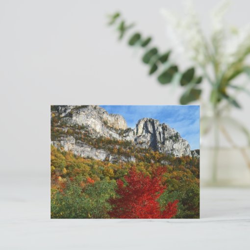 USA, West Virginia, Spruce Knob-Seneca Rocks Postcard | Zazzle