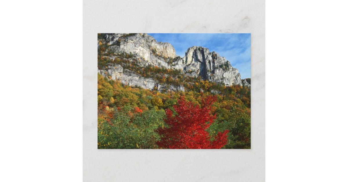 USA, West Virginia, Spruce Knob-Seneca Rocks Postcard | Zazzle