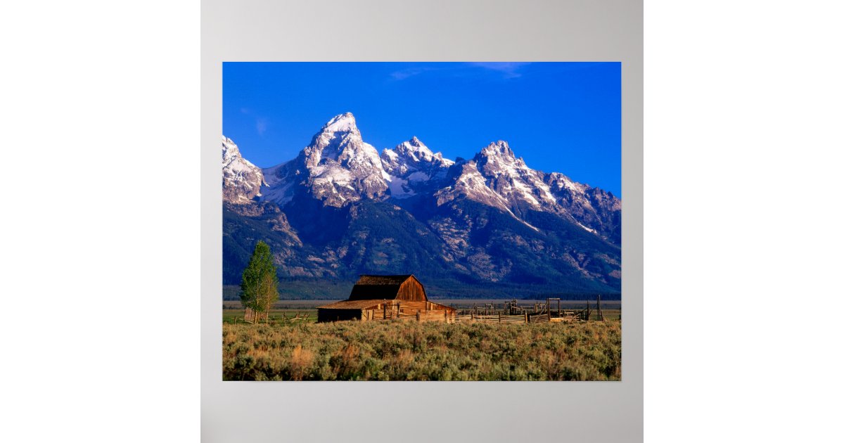 USA, Wyoming, Grand Teton National Park, Morning Poster | Zazzle