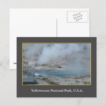 USA Yellowstone National Park Postcard | Zazzle