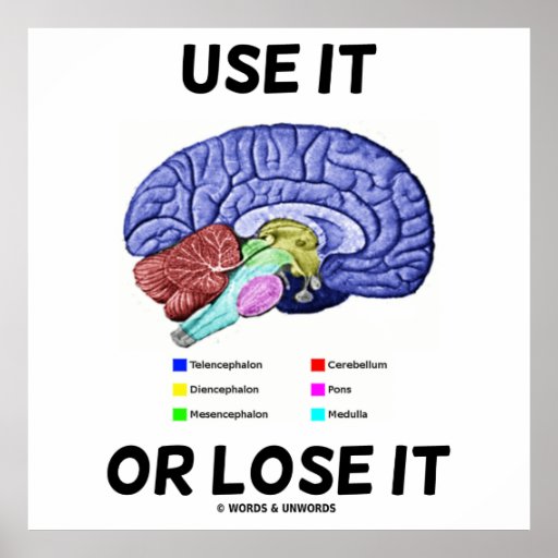Use It Or Lose It (Anatomical Brain Advice) Poster | Zazzle