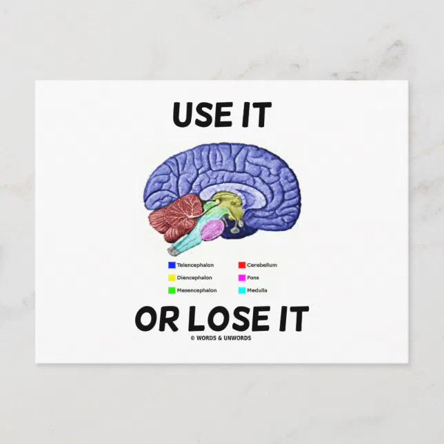 Use It Or Lose It (Brain Anatomy Humor Saying) Postcard | Zazzle