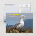 Utah State Bird - California Gull Postcard | Zazzle