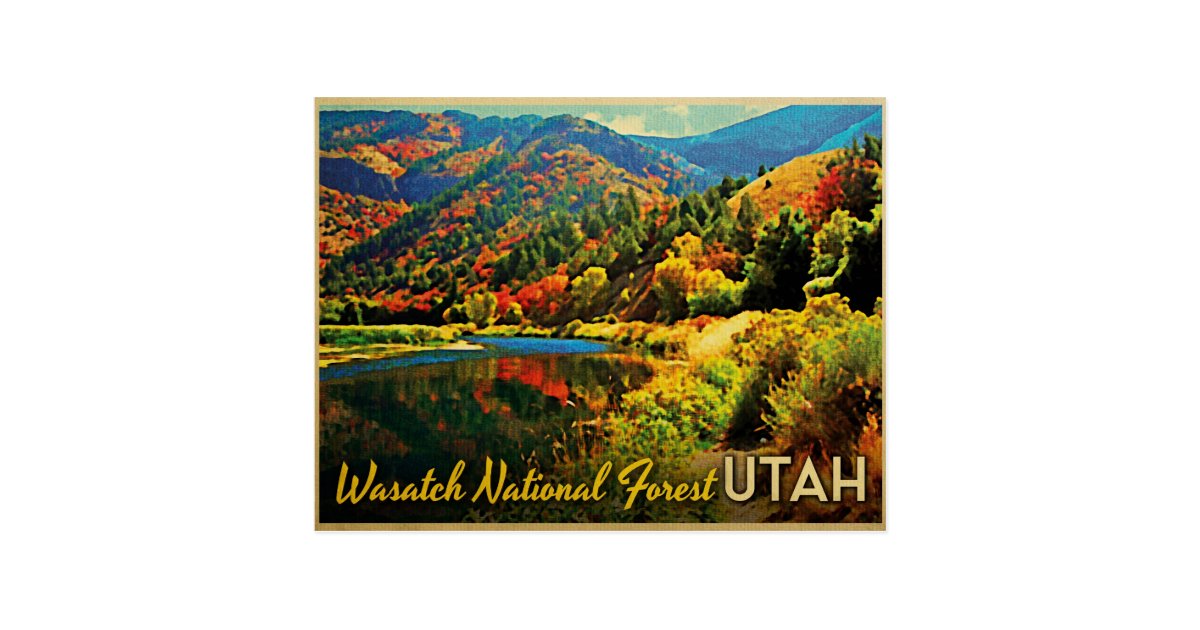 Utah Wasatch National Forest Postcard | Zazzle.com