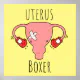 Uterus Boxer / Uterus Puns / Uterus Jokes Poster | Zazzle