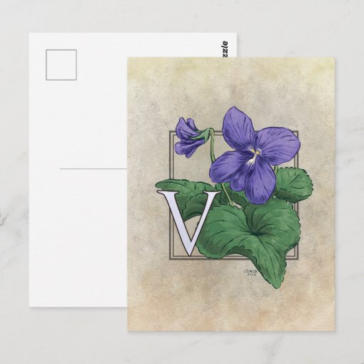 V for Violets Flower Monogram Postcard | Zazzle