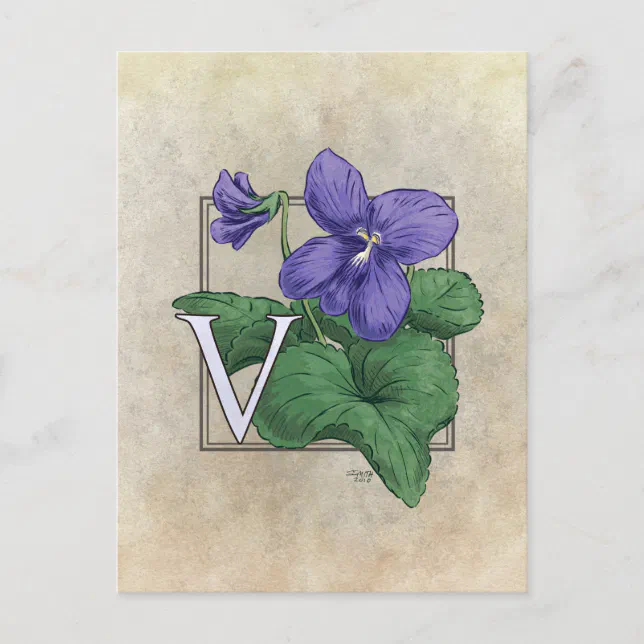 V for Violets Flower Monogram Postcard | Zazzle