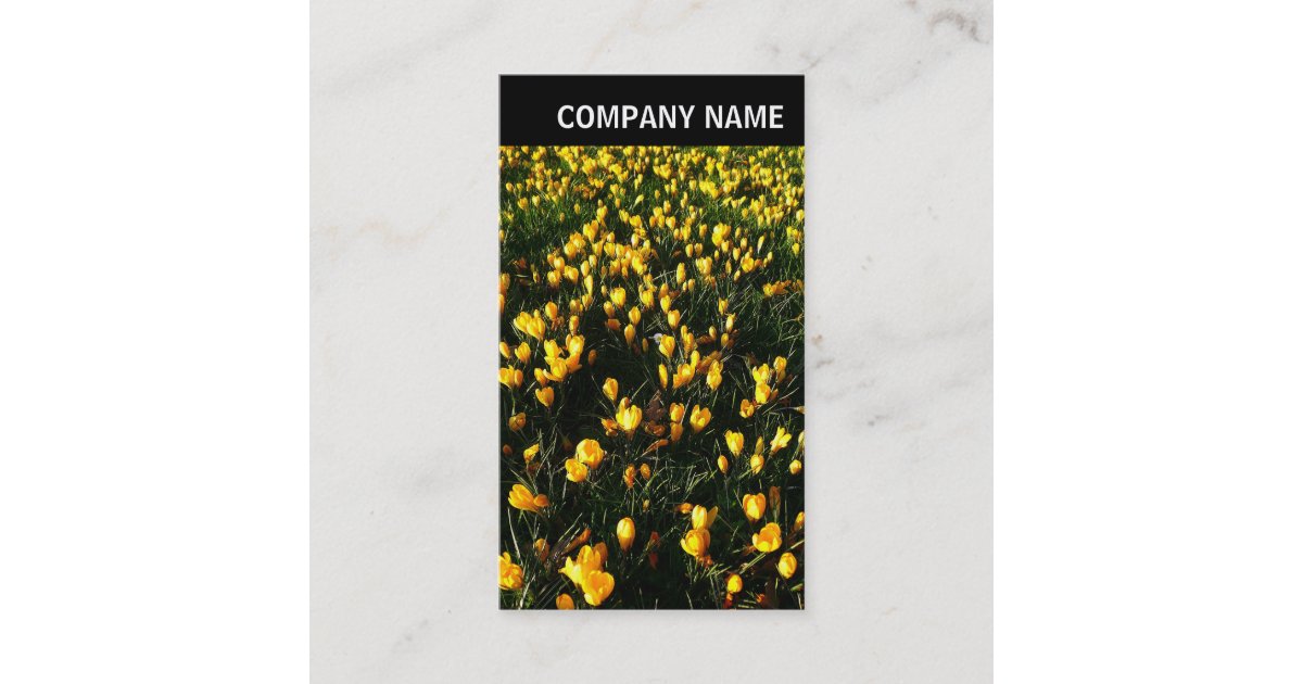 V Header - Photo - Crocuses Business Card | Zazzle