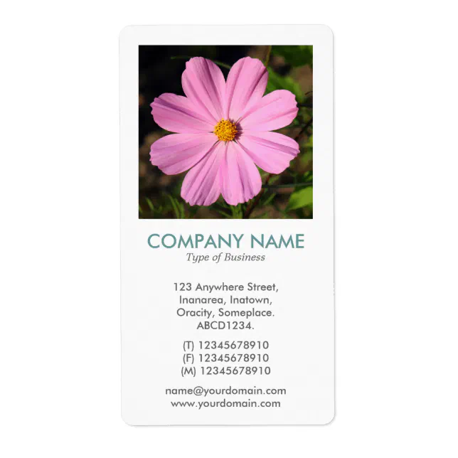 V Square Photo - Pink Cosmos Label | Zazzle