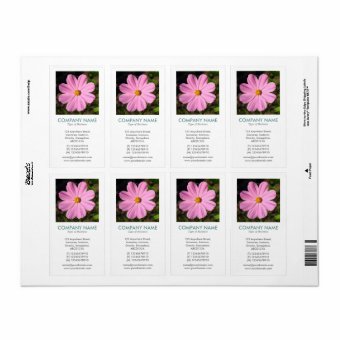 V Square Photo - Pink Cosmos Label | Zazzle