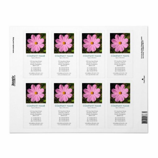 V Square Photo - Pink Cosmos Label | Zazzle