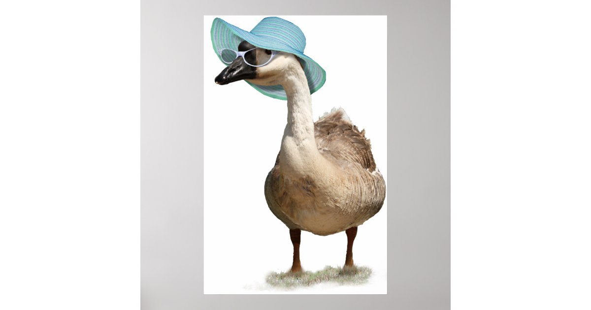 Vacation Time ! Poster | Zazzle