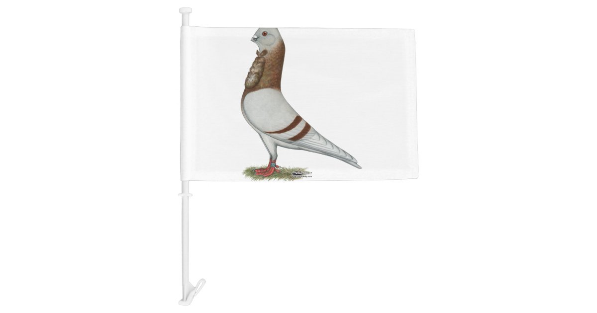 Valencian Figurita Pigeon Car Flag | Zazzle