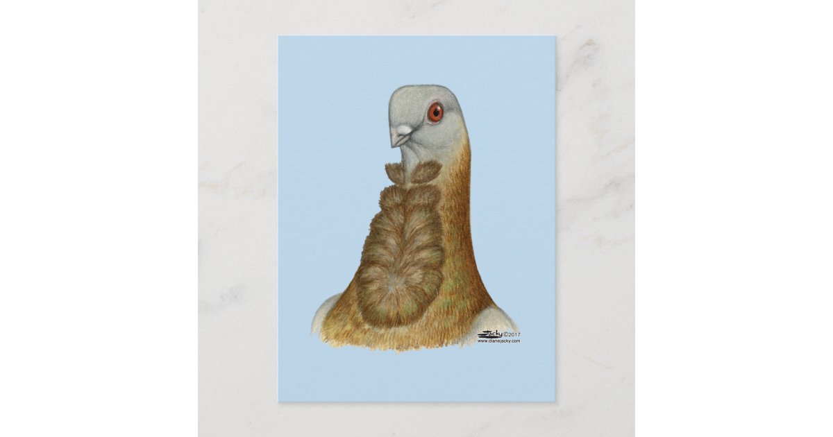 Valencian Figurita Pigeon Portrait Postcard | Zazzle