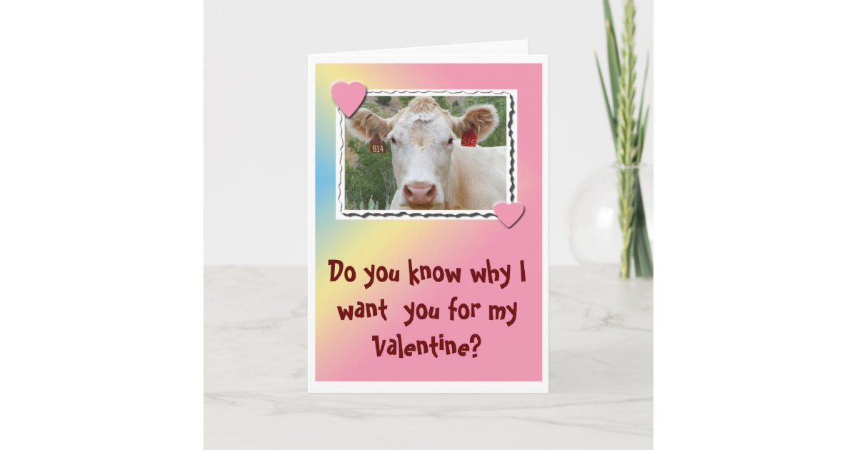 Valentine Cow-Greeting Card | Zazzle