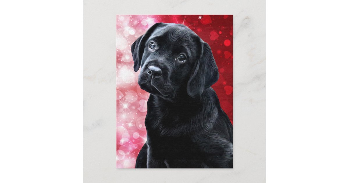 Valentine Puppy - Black Labrador - Lab Puppy Postcard | Zazzle