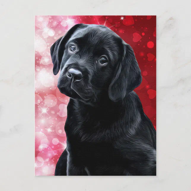 Valentine Puppy - Black Labrador - Lab Puppy Postcard | Zazzle