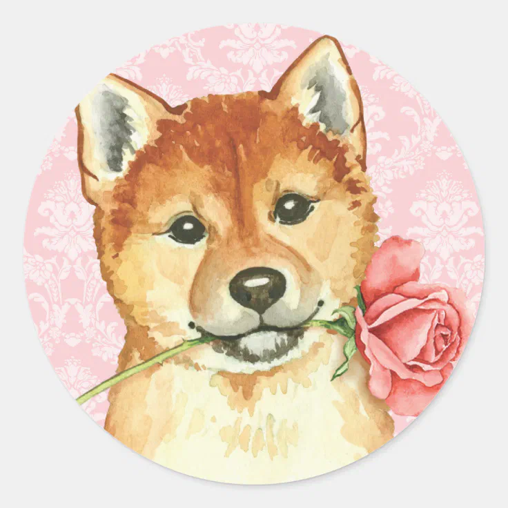 Valentine Rose Shiba Inu Classic Round Sticker | Zazzle