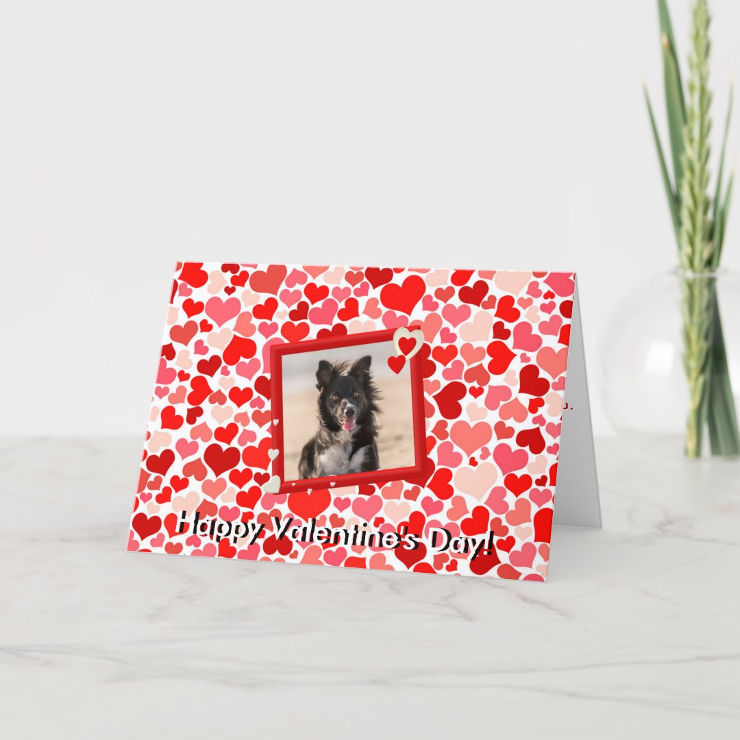 Valentines Border Collie Dog Hearts Greeting Card | Zazzle