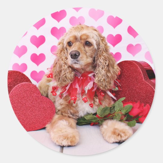 Valentines - Cocker Spaniel - Bella Classic Round Sticker | Zazzle.com